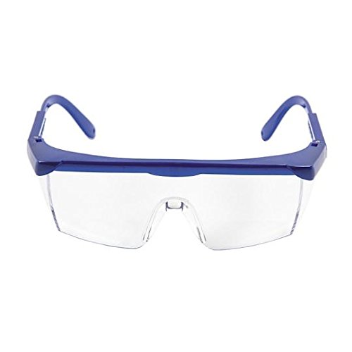 Snow Joe SGLASS-ADJ Protective Safety Glasses with Adjustable Frame Meets Ansi Z81.7 Standard, Blue