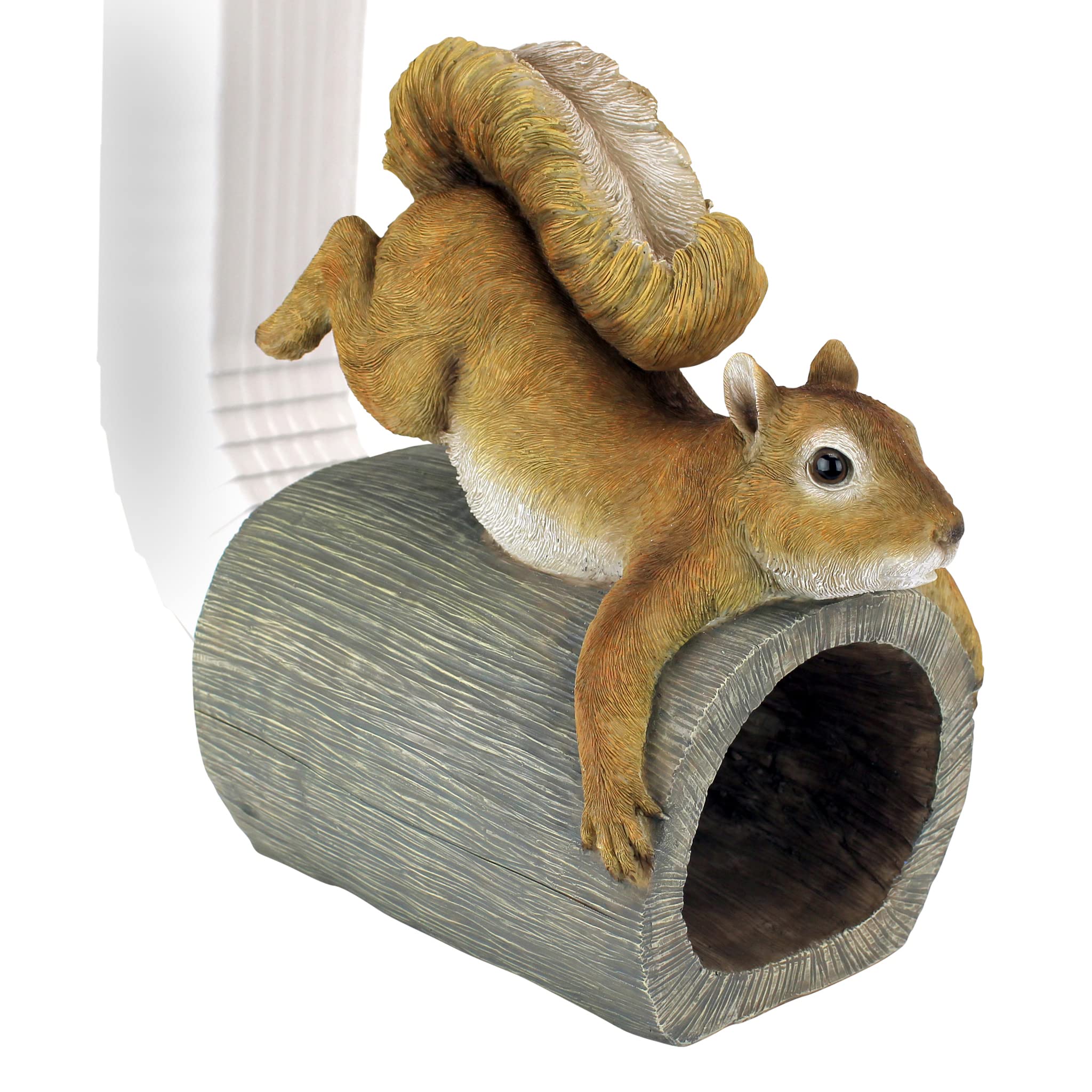 CRASH THE SQUIRREL RAIN GUTTER