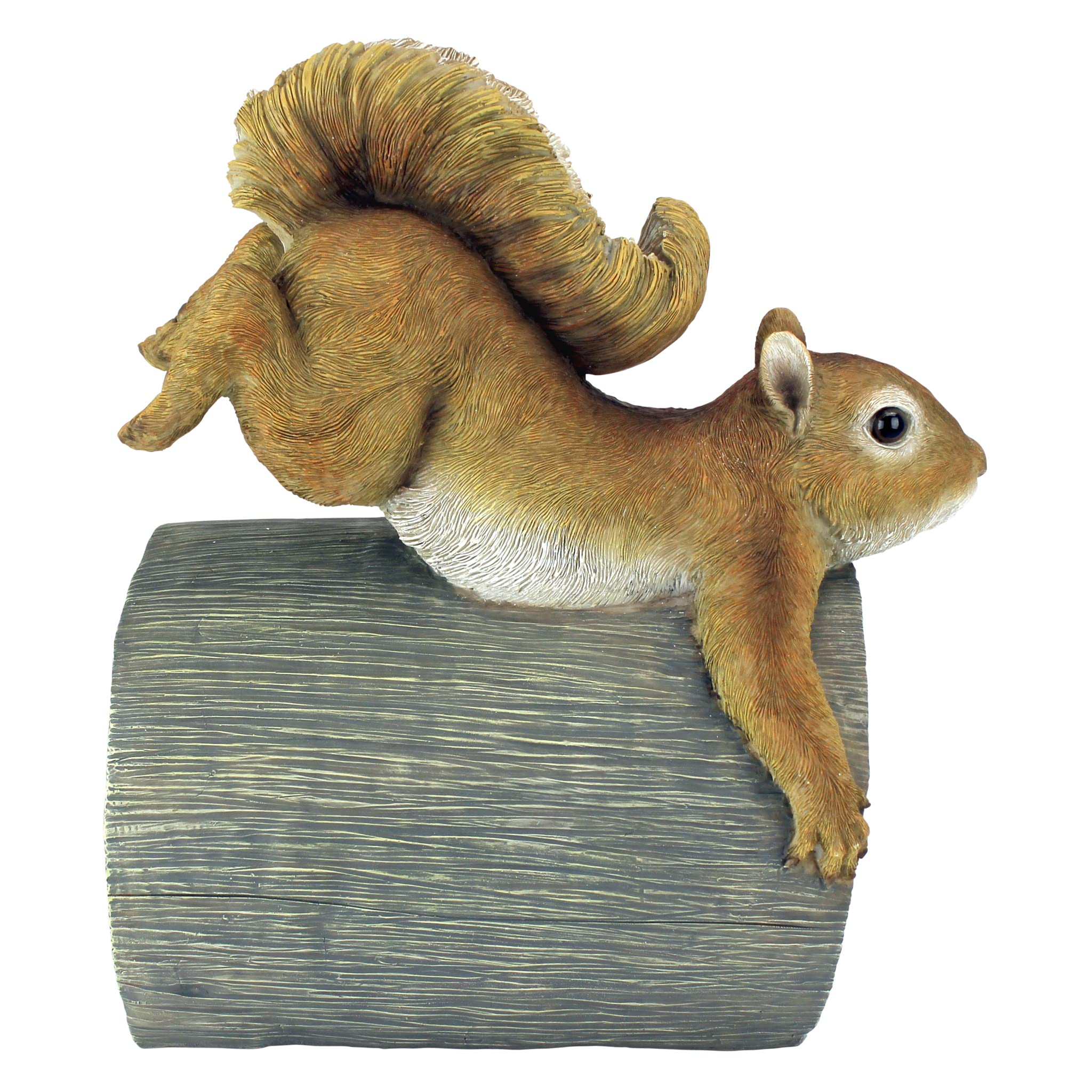 CRASH THE SQUIRREL RAIN GUTTER