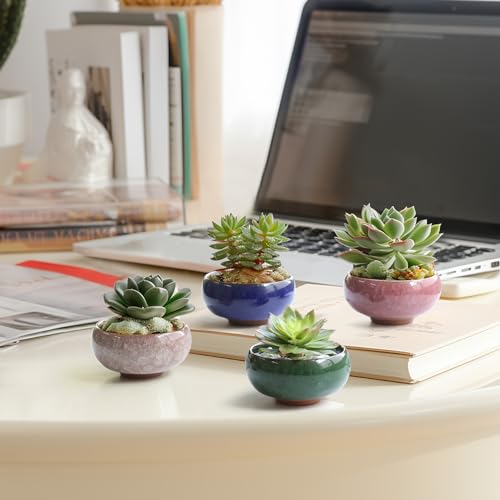 T4U 2.5 Inch Small Ceramic Succulent Planter Pot with Drainage Hole Set of 12, Ice Crack Glaze Porcelain Handicraft Plant Container Gift for Mom Sister Aunt Best for Home Office Desk Decoration