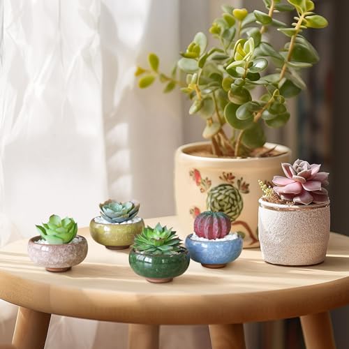 T4U 2.5 Inch Small Ceramic Succulent Planter Pot with Drainage Hole Set of 12, Ice Crack Glaze Porcelain Handicraft Plant Container Gift for Mom Sister Aunt Best for Home Office Desk Decoration