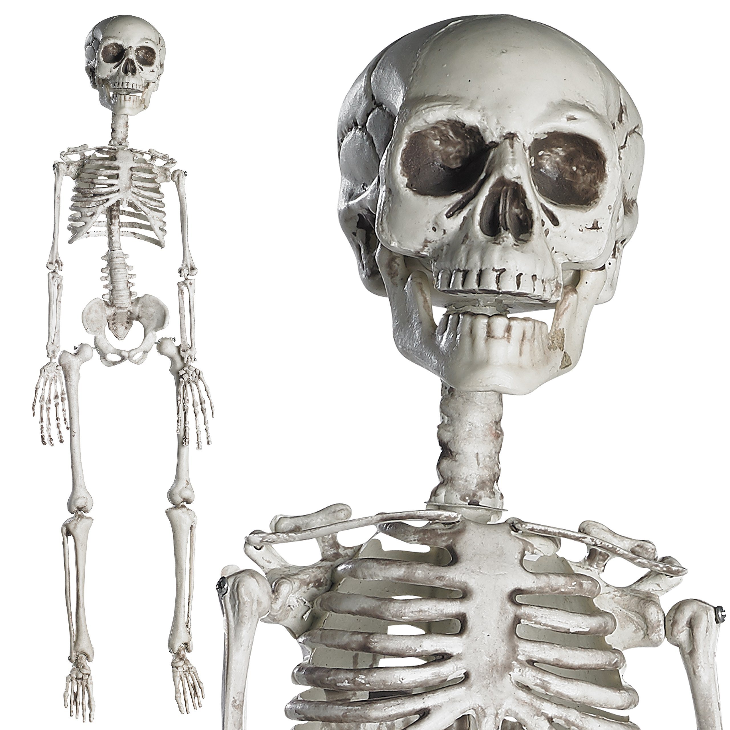 Prextex Skeleton Halloween & Day of The Dead Decoration for Home and Office - 19 Inch Posable Plastic Small Skeleton Toy Halloween Décor with Movable / Bendable Joints and 2 Sets of Body Accessories