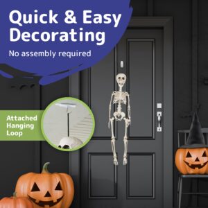 Prextex Skeleton Halloween & Day of The Dead Decoration for Home and Office - 19 Inch Posable Plastic Small Skeleton Toy Halloween Décor with Movable / Bendable Joints and 2 Sets of Body Accessories