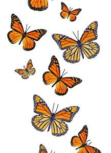 55 Monarch Butterfly Temporary Tattoos