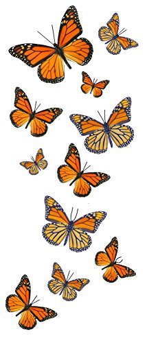 55 Monarch Butterfly Temporary Tattoos