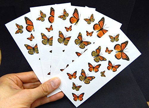 55 Monarch Butterfly Temporary Tattoos