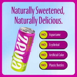 Zevia Zero Calorie Energy Drink, Raspberry Lime, 12 Ounce Cans (Pack of 12)