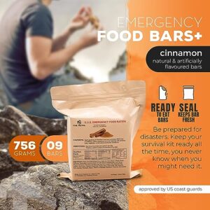 SOS Food Rations Emergency 3600 Calories Cinnamon Flavor Food Bar - 3 Day / 72 Hour Package with 5 Year Shelf Life- 1 Pack