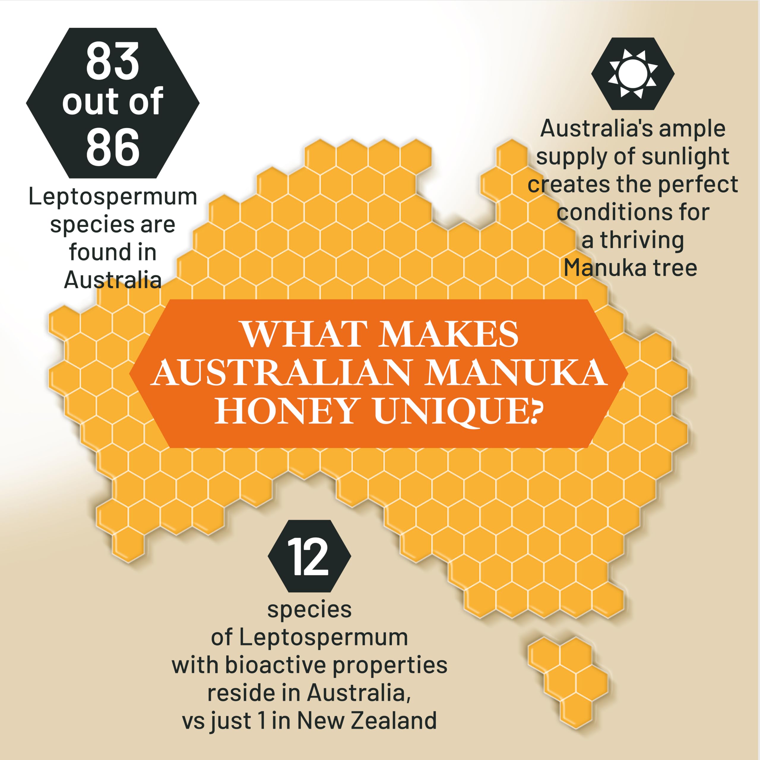 Manuka Honey MGO 850+ / UMF 20+ High Strength Manuka Honey Medical Grade - Non GMO - Raw Manuka Honey - Manuka Honey Organic - AMHA Certified Honey Manuka - 250g by Good Natured