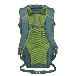 Kelty Redtail 27 Backpack, Ponderosa Pine