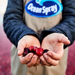 Ocean Spray, Cran-Energy Cranberry Raspberry Energy Juice Drink, 10 Fl Oz Bottles, 6 Ct