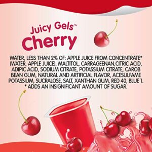 Snack Pack Sugar Free Cherry Flavored Juicy Gels, 4 Count Snack Cups