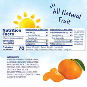 Dole Fruit Bowls Mandarin Oranges in 100% Juice Snacks, 4oz 12 Total Cups, Gluten & Dairy Free, Bulk Lunch Snacks for Kids & Adults