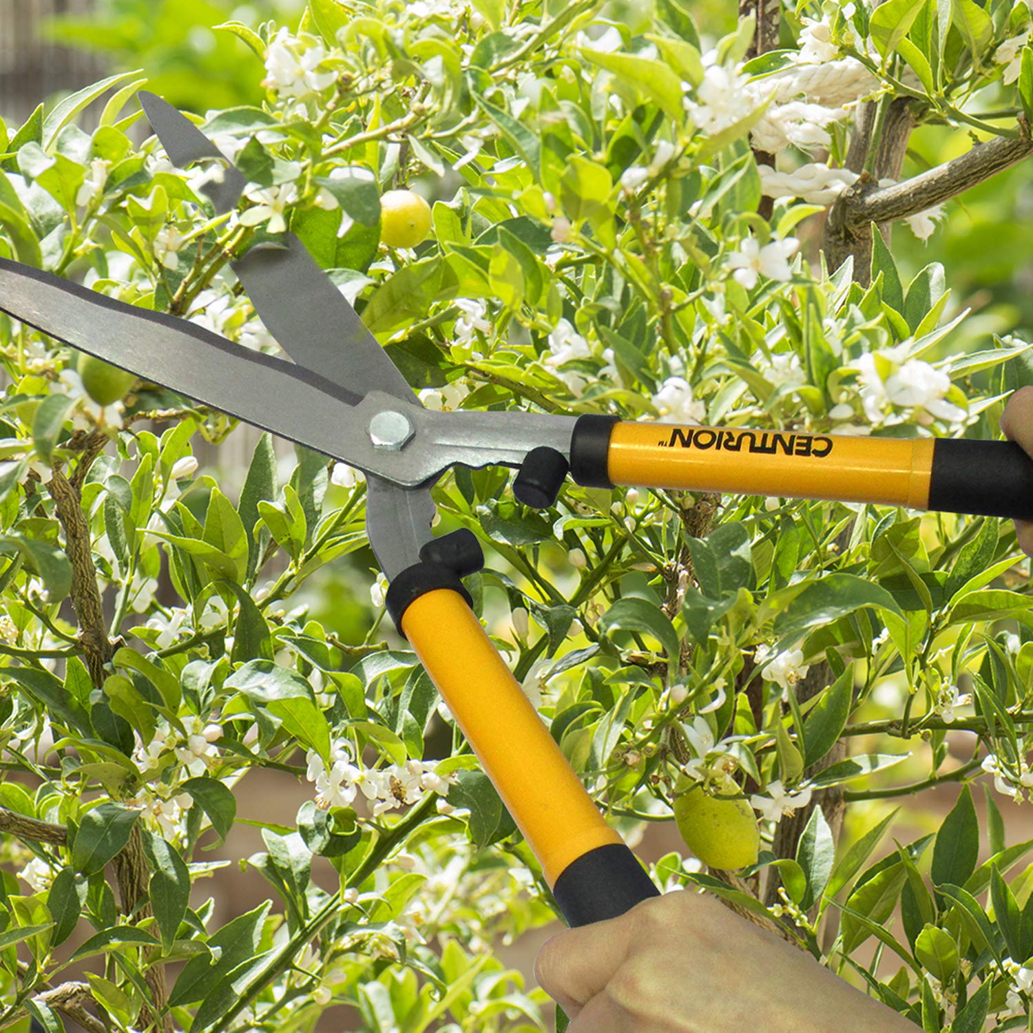 Centurion 1222 3-Piece Lopper, Hedge Shear & Pruner Combo Set, Heavy Duty Tree, Shrub & Bush Care Kit for Lawn, Garden & Yard, Ideal for Indoor & Outdoor Gardening, Branch Cutting & Plant Trimming