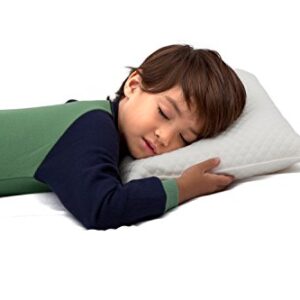 Delta Children Beautyrest Toddler Memory Foam Pillow