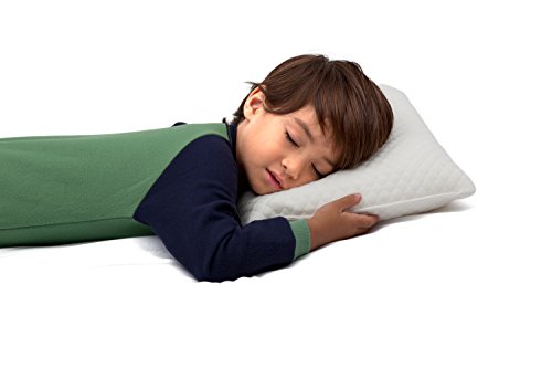 Delta Children Beautyrest Toddler Memory Foam Pillow