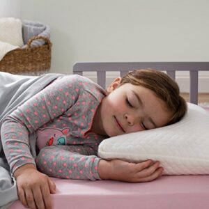 Delta Children Beautyrest Toddler Memory Foam Pillow