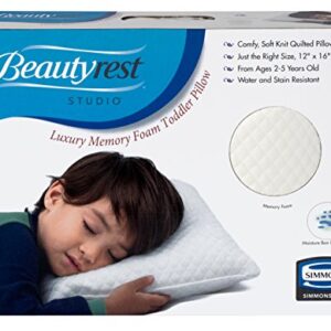 Delta Children Beautyrest Toddler Memory Foam Pillow