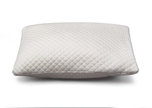 Delta Children Beautyrest Toddler Memory Foam Pillow