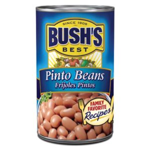 bush's best 16 oz canned pinto beans, source of plant based protein and fiber, low fat, gluten free, great for soups, salads and more, (pack of 12)