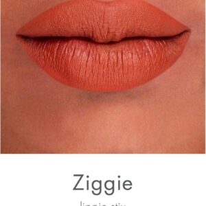 Colourpop Matte X Lippie Stix (Ziggie)