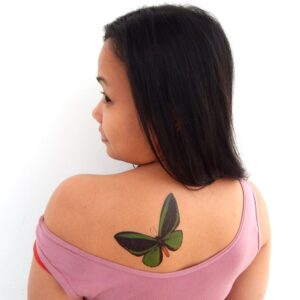 Large Butterfly Temporary Tattoos by Butterfly Utopia (6 Sheets)