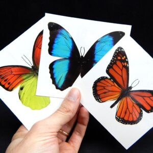 Large Butterfly Temporary Tattoos by Butterfly Utopia (6 Sheets)