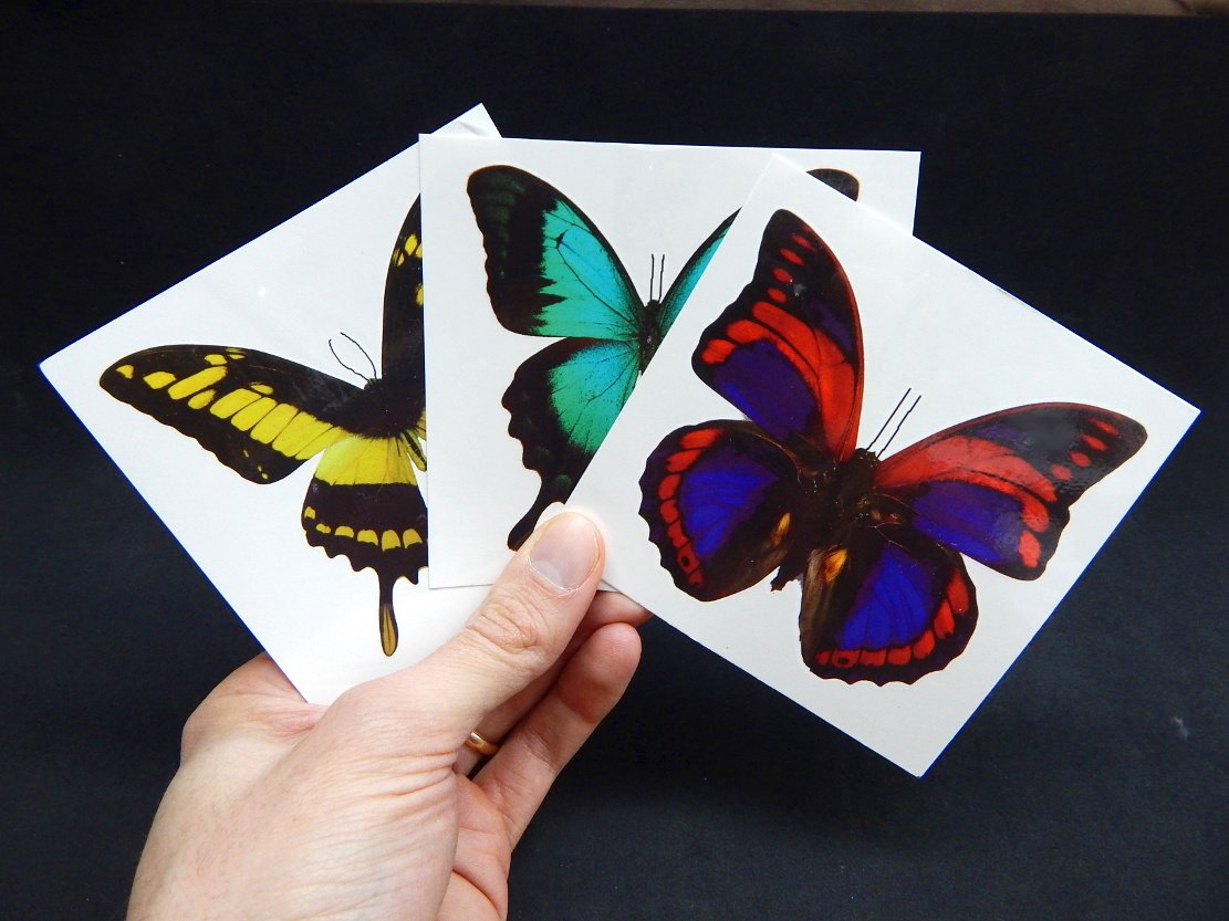 Large Butterfly Temporary Tattoos by Butterfly Utopia (6 Sheets)