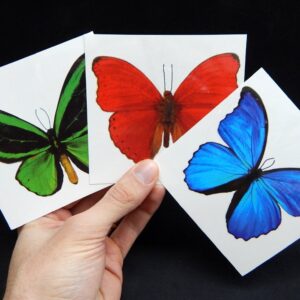 Large Butterfly Temporary Tattoos by Butterfly Utopia (6 Sheets)