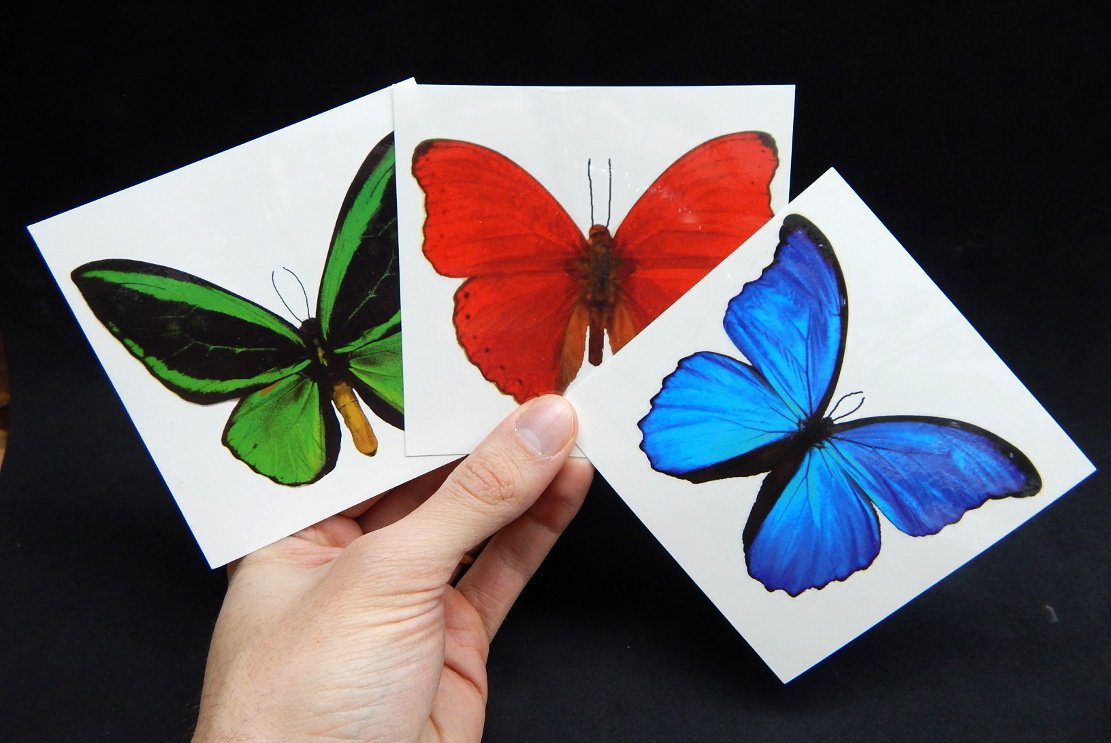 Large Butterfly Temporary Tattoos by Butterfly Utopia (6 Sheets)