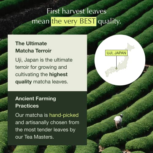 Encha Latte Grade Matcha Powder - Unsweetened, First Harvest, Organic Matcha Green Tea Powder From Uji, Japan (60g/2.12 Ounce) Premium Powder for matcha latte, smoothie | Caffeine, L-Theanine