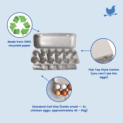 Blank 12-Egg Flat Top Paper Pulp Carton - Bulk Egg Cartons (50)