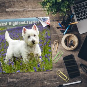 2023 2024 West Highland Terrier Calendar - Dog Breed Monthly Wall Calendar - 12 x 24 Open - Thick No-Bleed Paper - Giftable - Academic Teacher's Planner Calendar Organizing & Planning - Made in USA