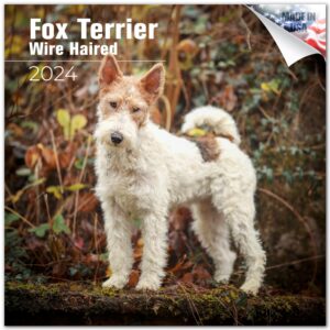 2023 2024 wire fox terrier calendar - dog breed monthly wall calendar - 12 x 24 open - thick no-bleed paper - giftable - academic teacher's planner calendar organizing & planning - made in usa