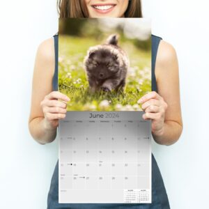 2023 2024 Keeshond Calendar - Dog Breed Monthly Wall Calendar - 12 x 24 Open - Thick No-Bleed Paper - Giftable - Academic Teacher's Planner Calendar Organizing & Planning - Made in USA