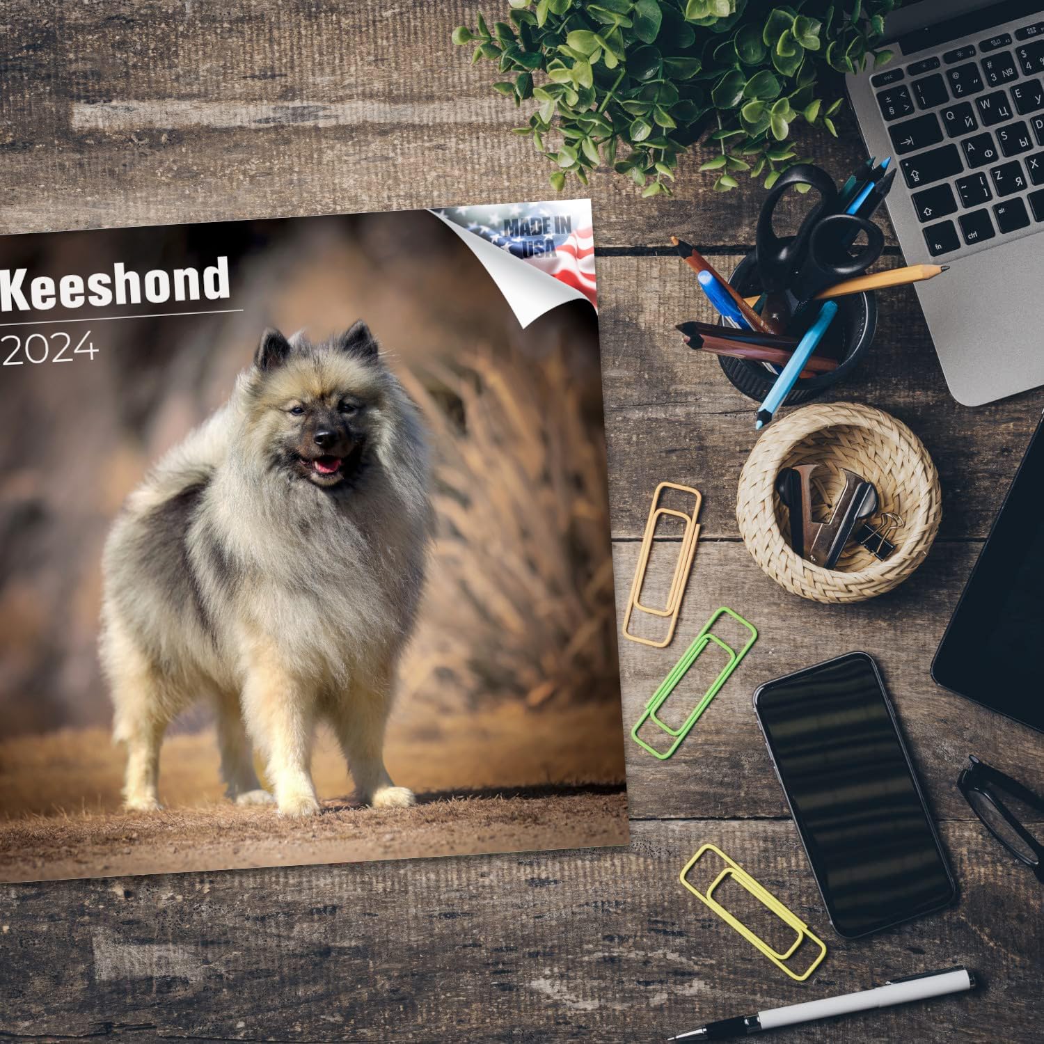 2023 2024 Keeshond Calendar - Dog Breed Monthly Wall Calendar - 12 x 24 Open - Thick No-Bleed Paper - Giftable - Academic Teacher's Planner Calendar Organizing & Planning - Made in USA