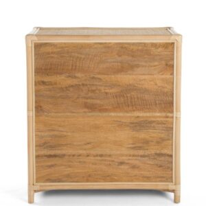 KOUBOO Rattan Chippendale Storage Cabinet with 2 Doors, Natural Color