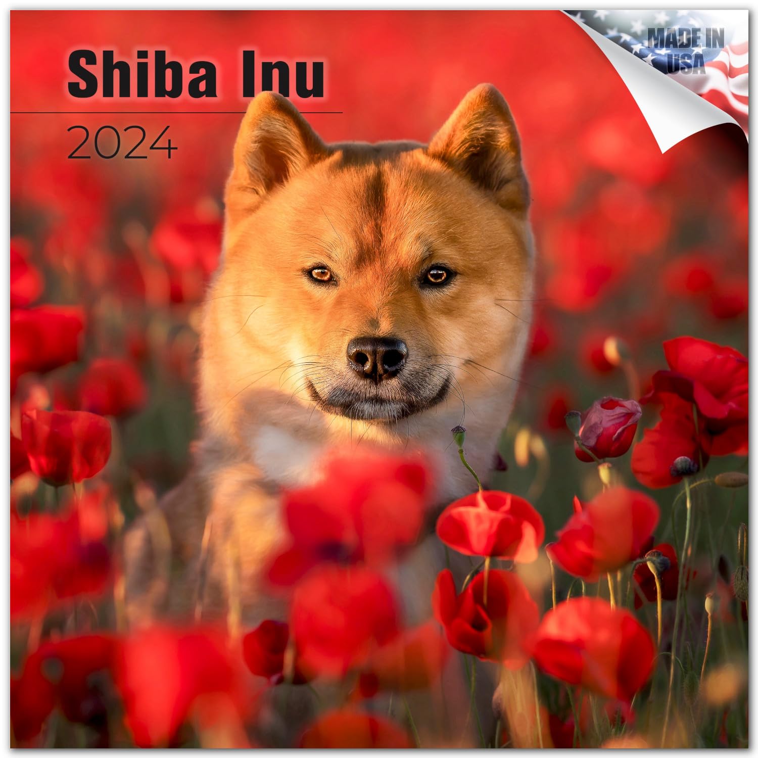 2023 2024 Shiba Inu Calendar - Dog Breed Monthly Wall Calendar - 12 x 24 Open - Thick No-Bleed Paper - Giftable - Academic Teacher's Planner Calendar Organizing & Planning - Made in USA