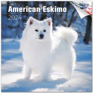 2023 2024 american eskimo dog calendar - dog breed monthly wall calendar - 12 x 24 open - thick no-bleed paper - giftable - academic teacher's planner calendar organizing & planning - made in usa