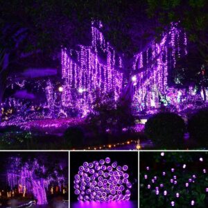 String Lights Fairy Lights 66 Feet 200 LED with Multi Flashing Modes Controller, Waterproof LED Lights Decorations for Bedroom, Wedding, Party, Garden, Patio, Indoor Outdoor Occastions (Purple)