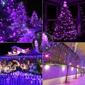 String Lights Fairy Lights 66 Feet 200 LED with Multi Flashing Modes Controller, Waterproof LED Lights Decorations for Bedroom, Wedding, Party, Garden, Patio, Indoor Outdoor Occastions (Purple)