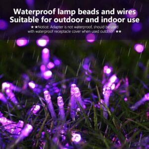 String Lights Fairy Lights 66 Feet 200 LED with Multi Flashing Modes Controller, Waterproof LED Lights Decorations for Bedroom, Wedding, Party, Garden, Patio, Indoor Outdoor Occastions (Purple)