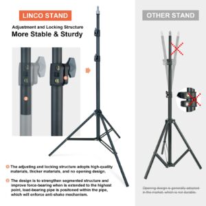 LINCO Lincostore Photo Video Studio Light Kit AM169 - Including 3 Color Backdrops (Black/White/Green) Background Screen