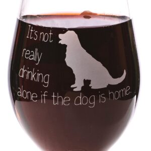 Funny Guy Mugs Dog Is Home Wine Glass, 11-Ounce - Fun Dog Lovers Wine Glasses with Sayings