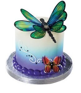 Set of 6 (2inch High Each) StyroFoam Cake Dummies 12inch 14inch 16inch with Butterfly Cake Decoration