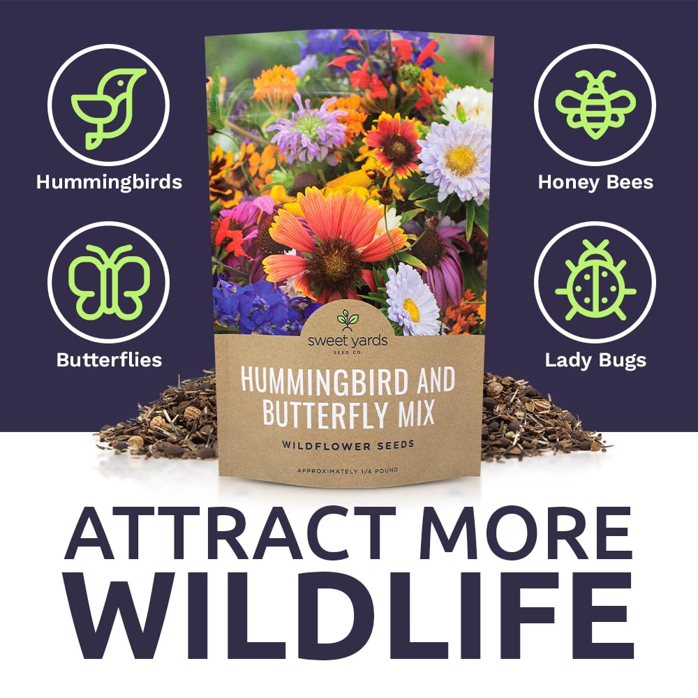 Bulk Wildflower Seeds Butterfly and Humming Bird Mix - 1/4 Pound Bag - Over 30,000 Open Pollinated Annual and Perennial Seeds