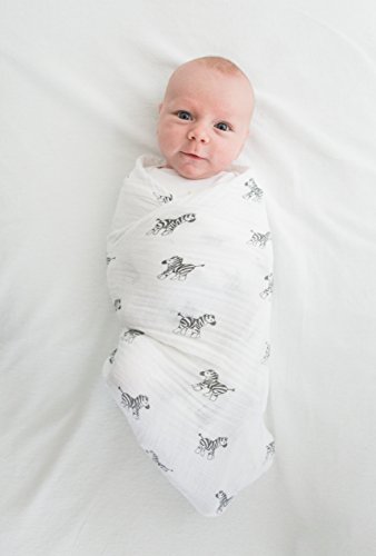 Amazing Baby - Sensory Muslin Swaddle Blanket, Premium Cotton, Zebra, Black and White for Baby Visual Development