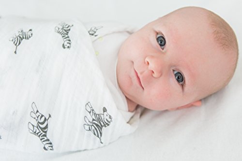 Amazing Baby - Sensory Muslin Swaddle Blanket, Premium Cotton, Zebra, Black and White for Baby Visual Development