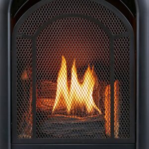 ProCom Dual Fuel Ventless Gas Fireplace Insert with Thermostat Control, 5 Fire Logs, Use with Natural Gas or Liquid Propane, 15000 BTU, Heats up to 600 Sq. Ft., Black