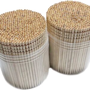 Makerstep 1000 Wooden Toothpicks Ornate Handle in Toothpicks Holder Container 2 Packs of 500, Good for Party, Cleaning Teeth, Appetizer.